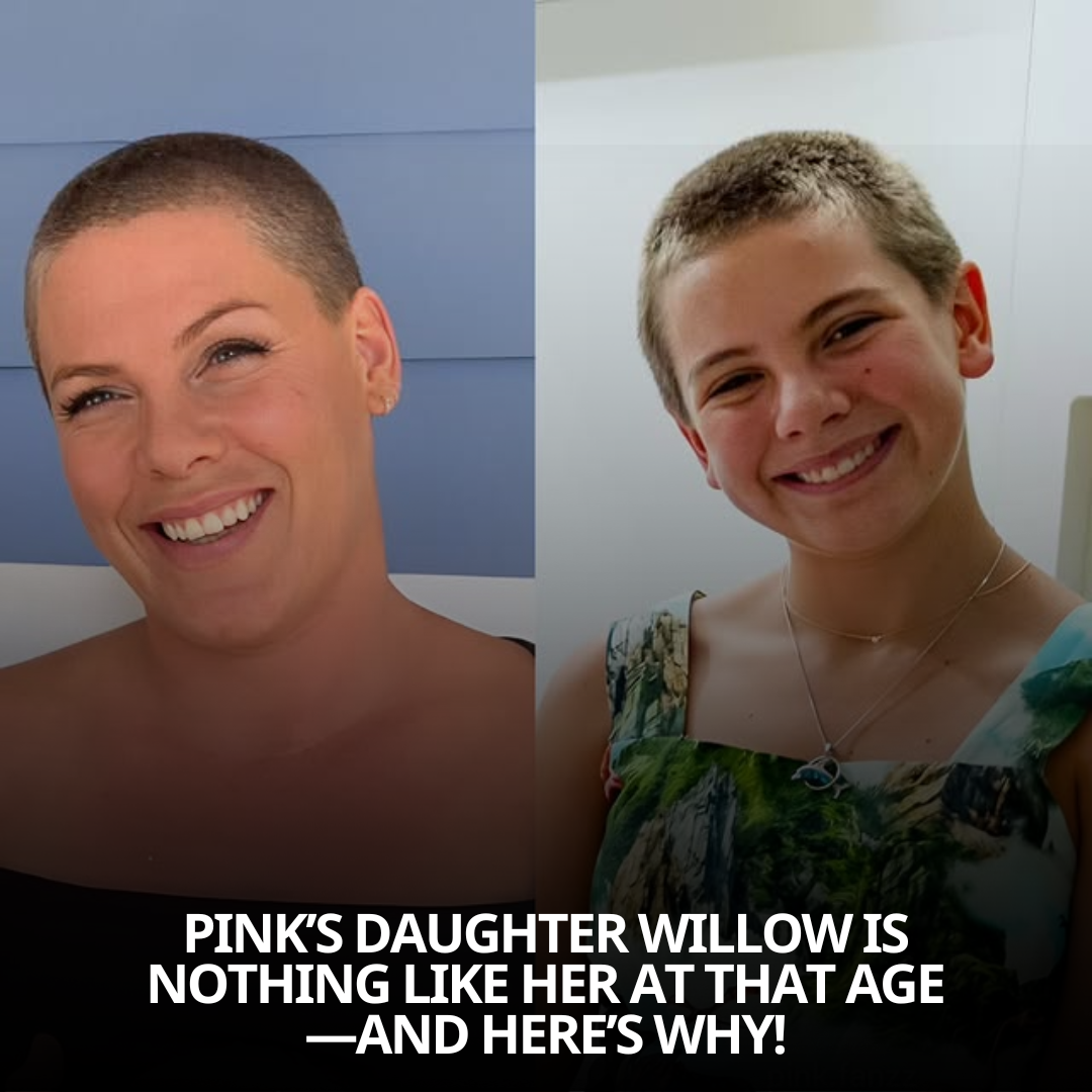 Pink’s Daughter Willow Is Nothing Like Her at That Age—And Here’s Why! - Us