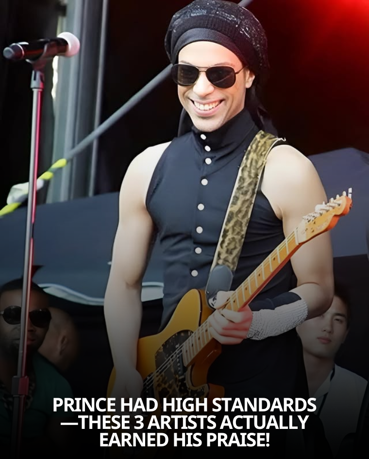 Prince Had High Standards—These 3 Artists Actually Earned His Praise! - Us