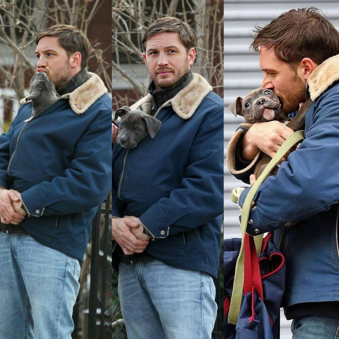 You Won’t Believe How Tom Hardy Turned His Passion for Dogs Into a Life-Saving Mission - Us